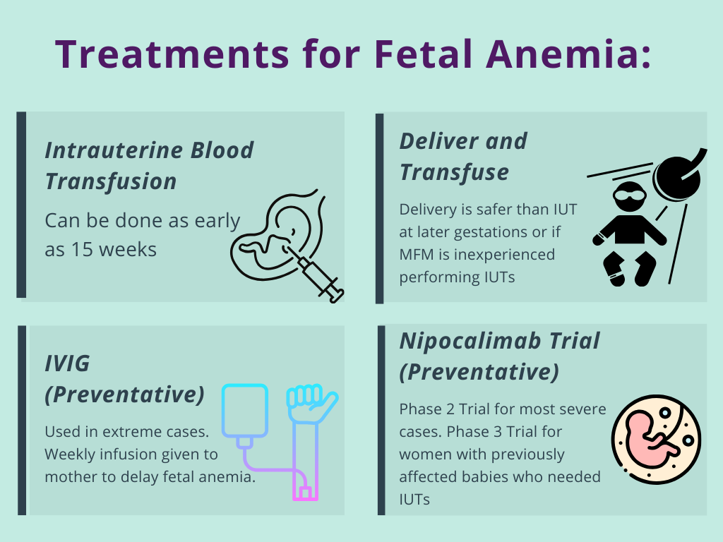 HDFN and Fetal Anemia - Allo Hope Foundation