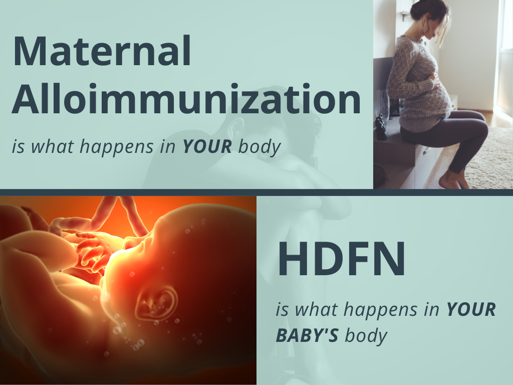 Terms & Definitions - Allo Hope Foundation